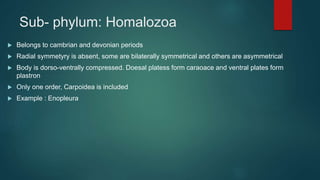 Echinodermata classification | PPTX