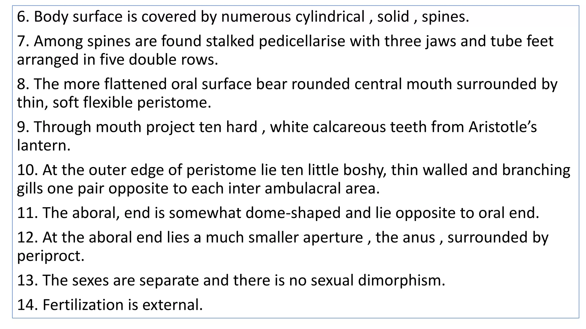 Echinodermata Classification.pptx
