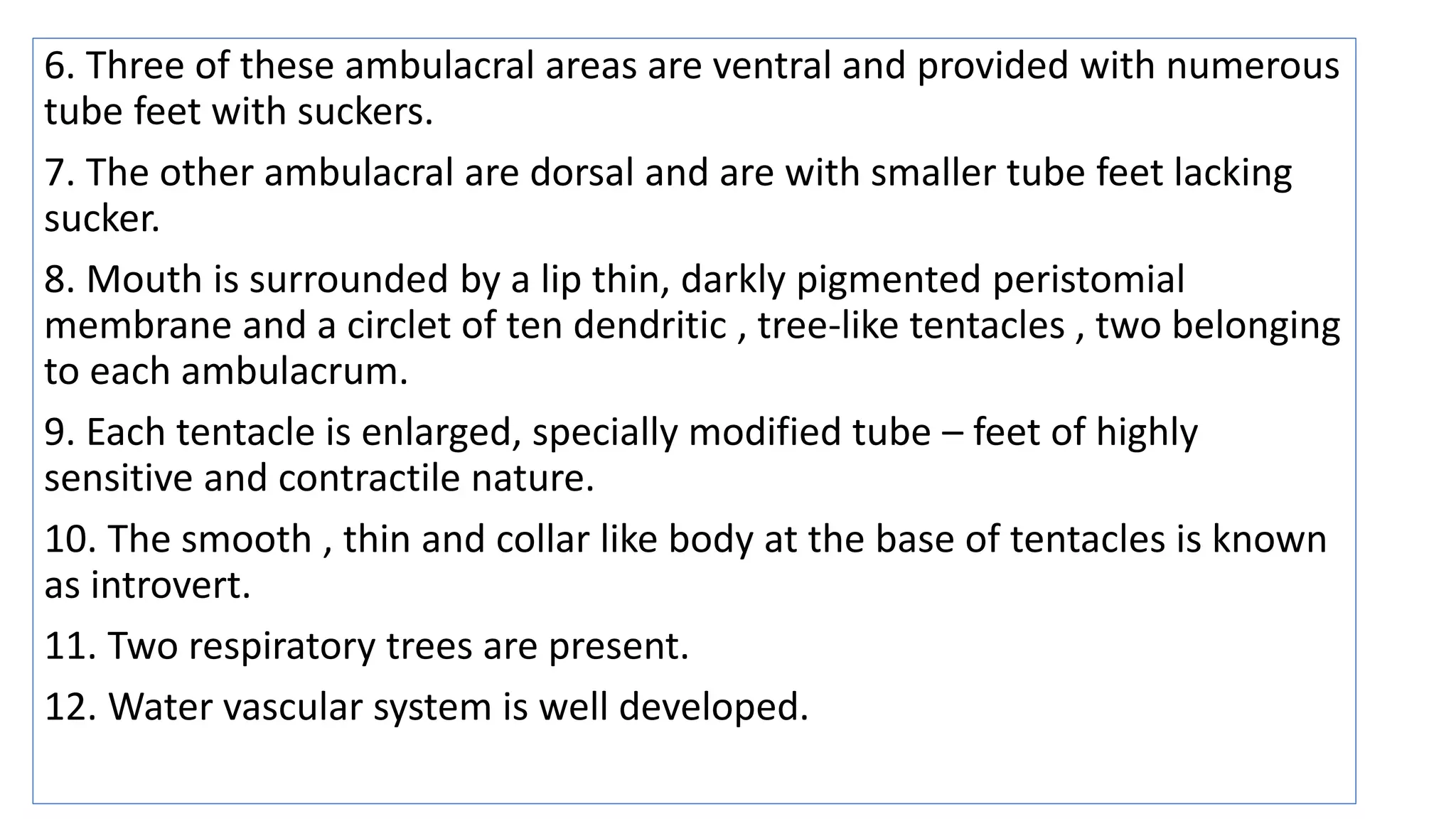 Echinodermata Classification.pptx