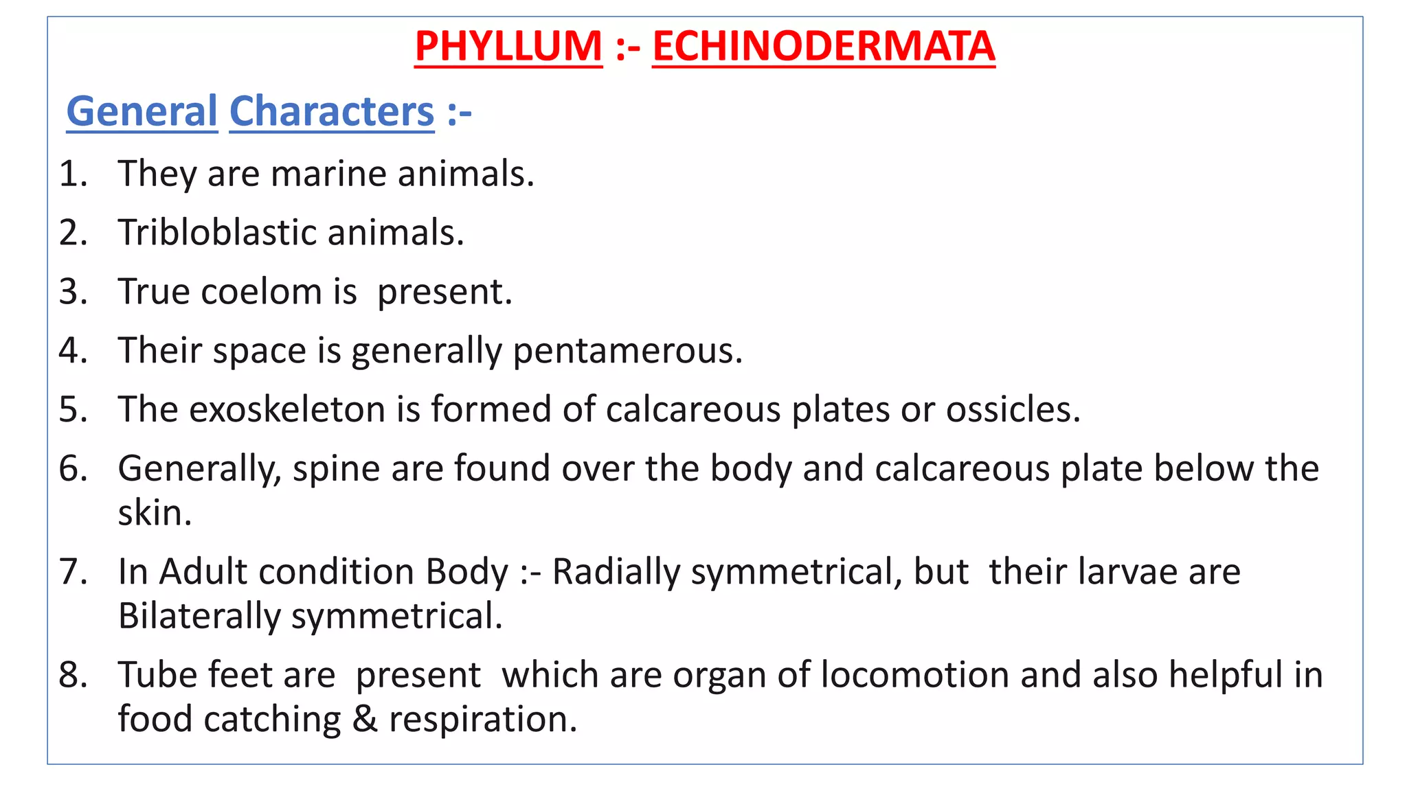 Echinodermata Classification.pptx