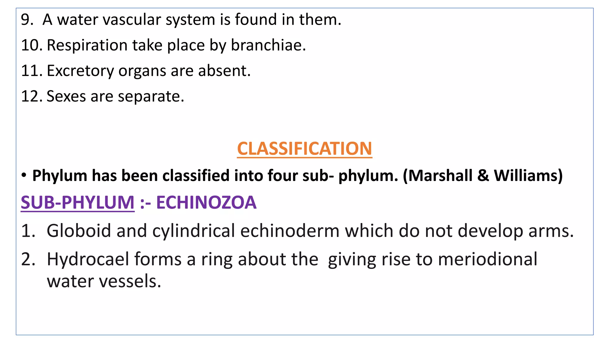 Echinodermata Classification.pptx