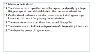 Echinodermata Classification.pptx