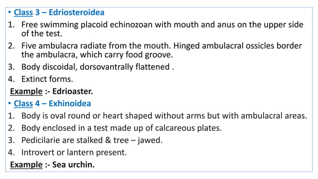 Echinodermata Classification.pptx