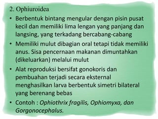 Echinodermata dan arthropoda | PPTX