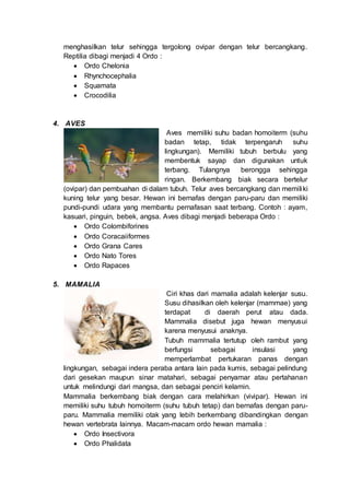 echinodermata dan vertebrata.docx