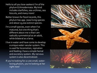 Prehistoric Echinoderms