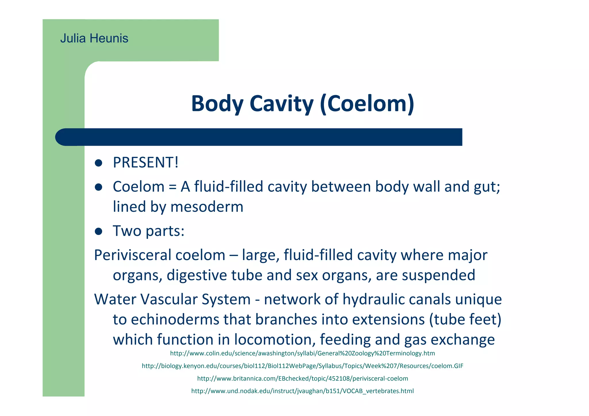Echinodermata presentation | PDF