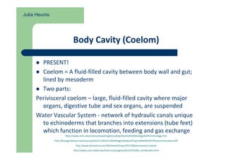 Echinodermata presentation | PDF
