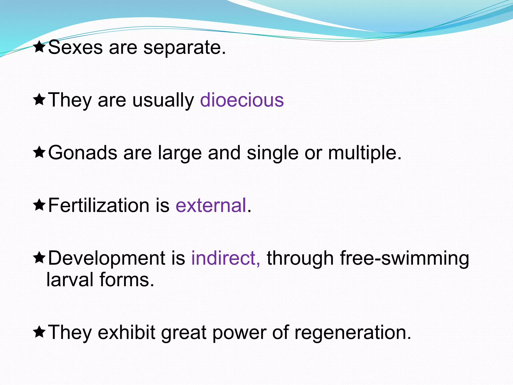 Phylum Echinodermata | PPT