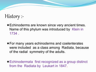 Phylum Echinodermata | PPT