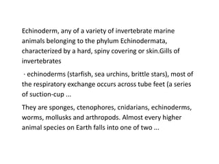 Echinodermpresentation.pptx