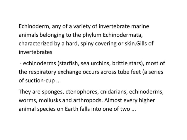 Echinodermpresentation.pptx