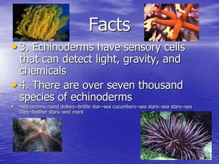 Echinoderms | PPT