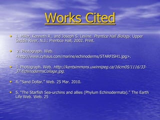 Echinoderms | PPT