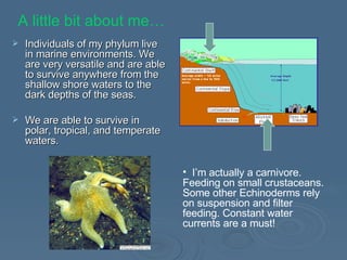 Echinoderms | PPT
