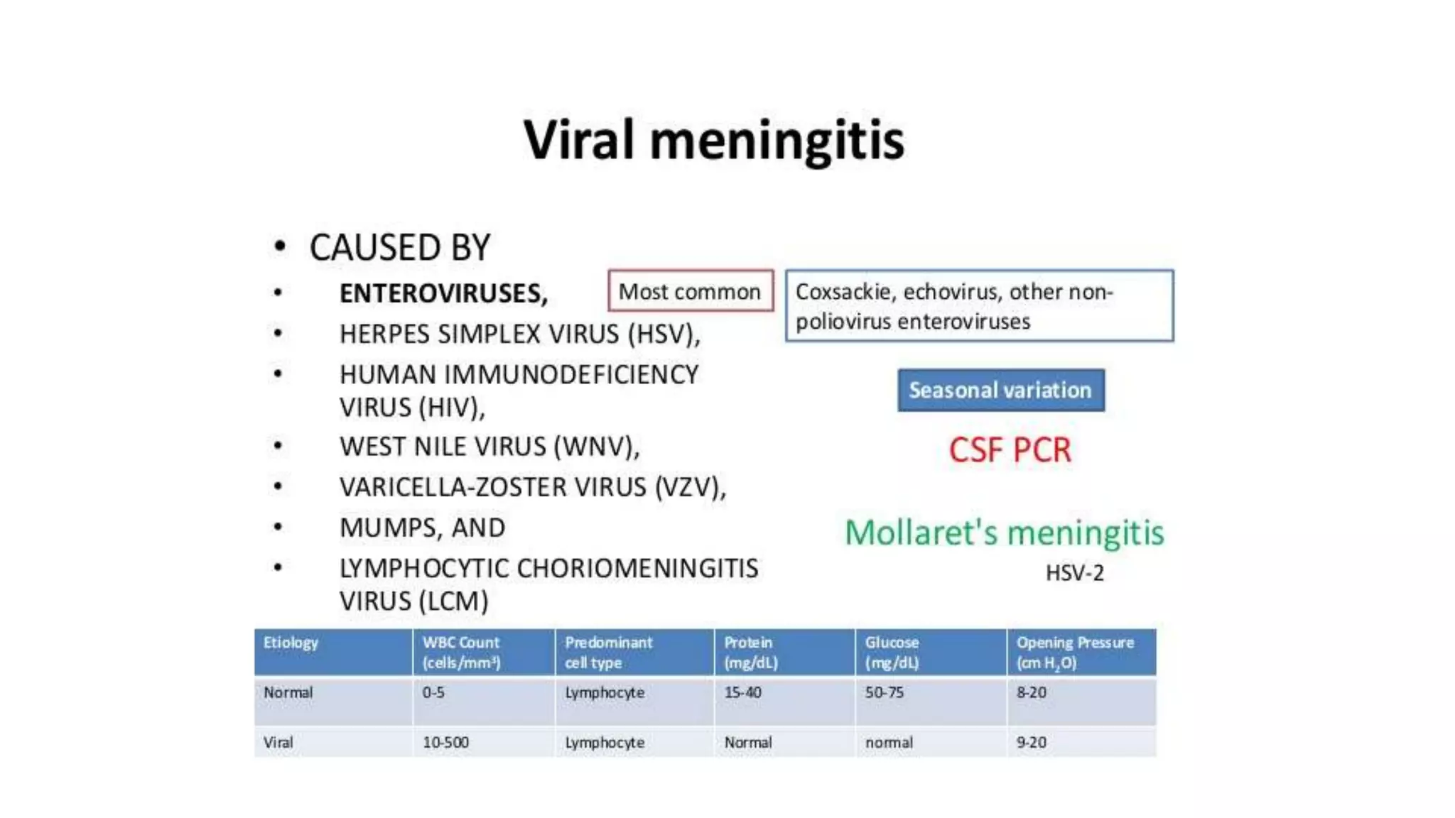 Meningitis: Viral Meningitis - Echovirus | PPTX