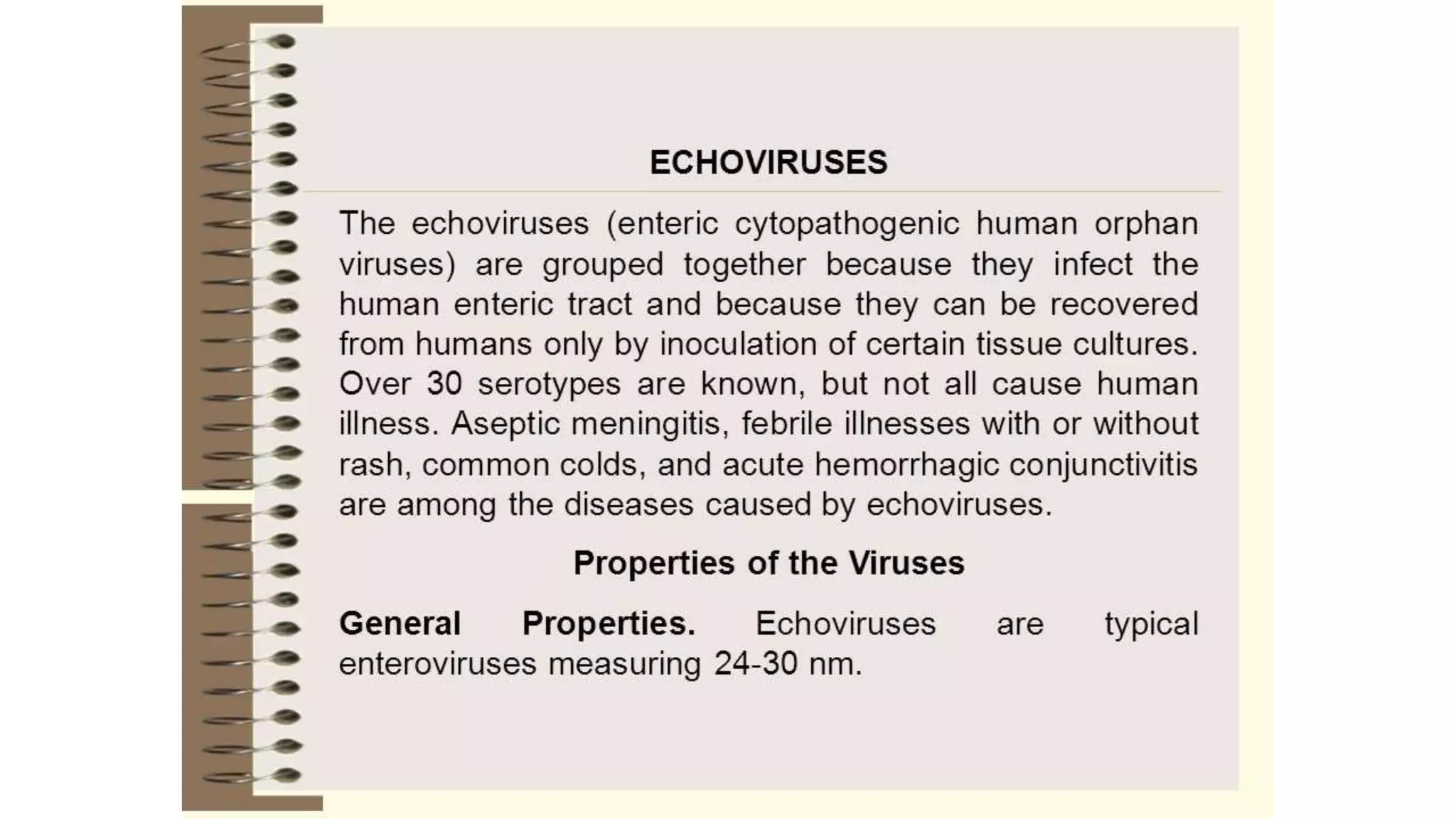 Meningitis: Viral Meningitis - Echovirus | PPTX