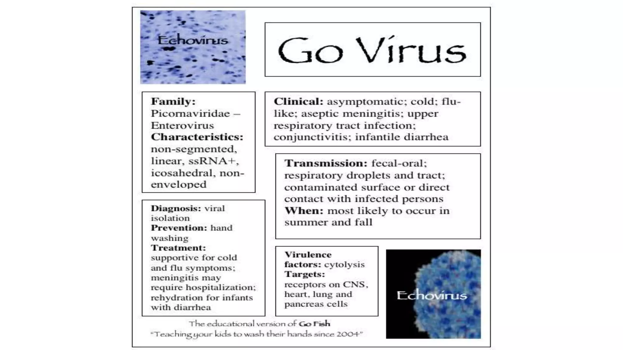 Meningitis: Viral Meningitis - Echovirus | PPTX