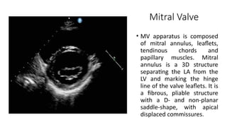 NORMAL ECHOCARDIOGRAPHIC ANATOMY OF THE HEART | PPTX