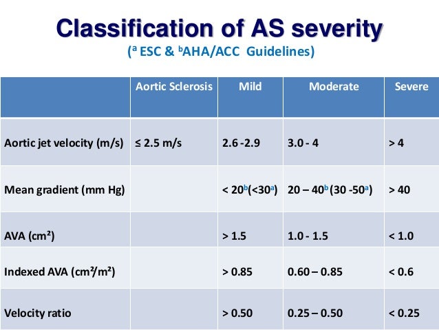 Echo assesment of as and ar