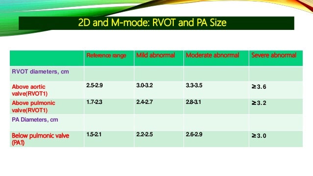 Echo assesmentof rv function