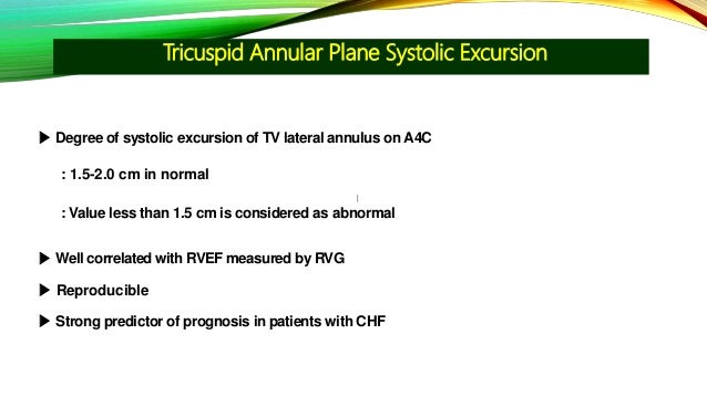 Echo assesmentof rv function