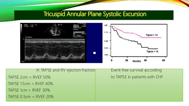 Tapse Normal Range
