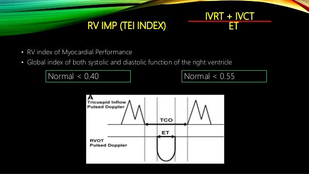 Echo assesmentof rv function