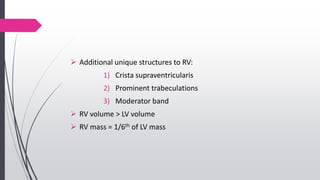 Echo assessment of RV function | PPTX