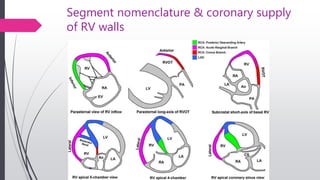 Echo assessment of RV function | PPTX