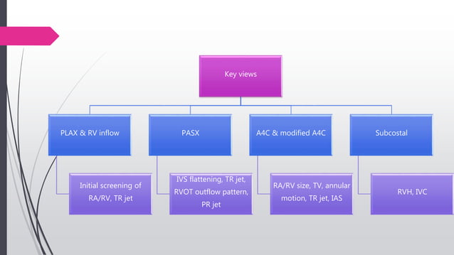 Echo assessment of RV function | PPTX | Heart and Cardiovascular ...