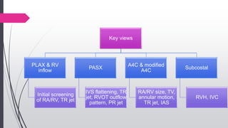 echo assessment RV function by dr amit (1).pptx | Heart and ...