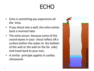 Basics of echocardiography | PDF