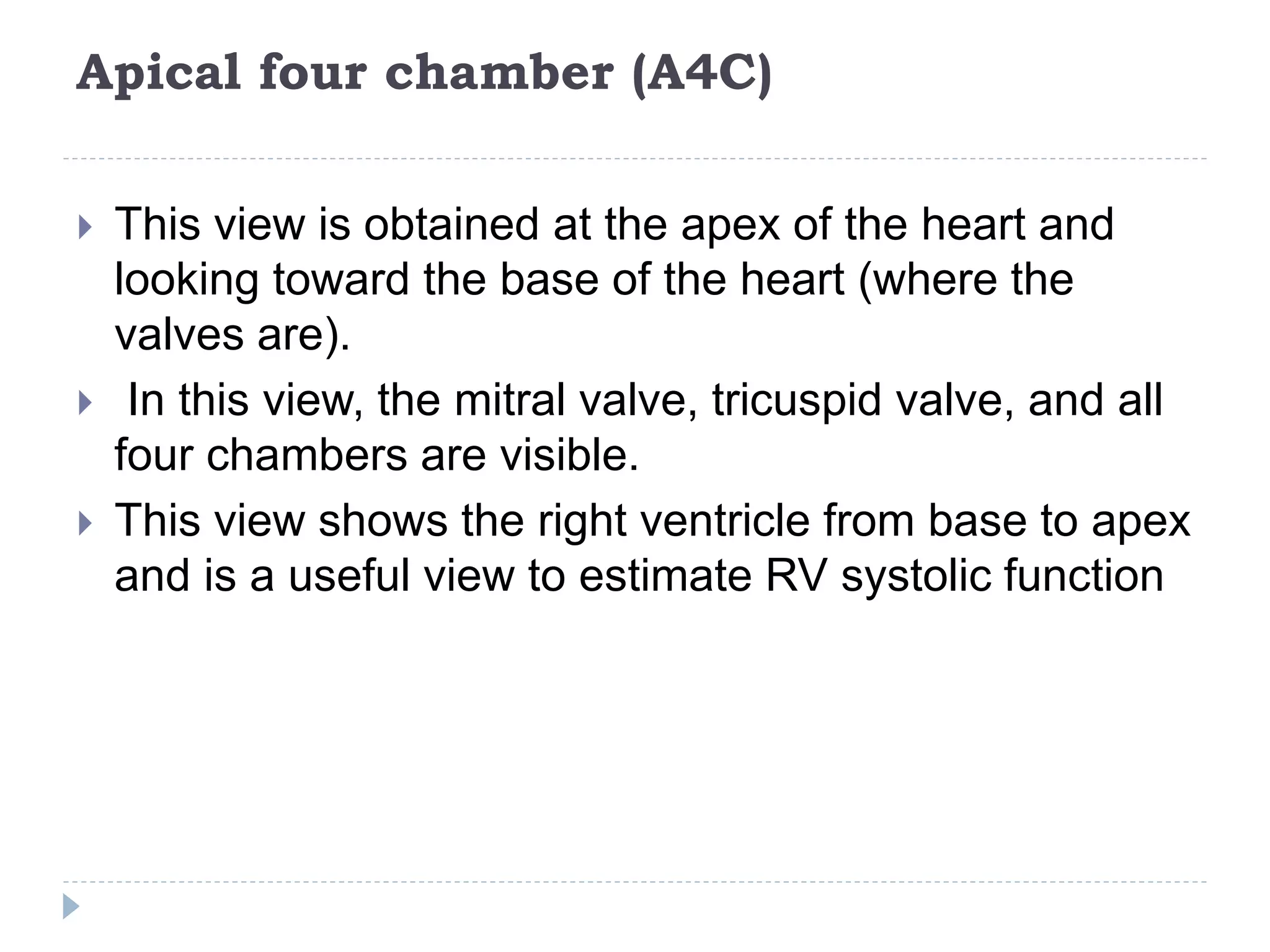 Echocardiogram | PPTX