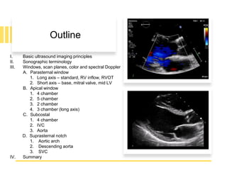 Echocardiogram Basics Iowa ACC CV Team 12-5-2020 1.pdf