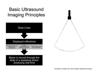 Echocardiogram Basics Iowa ACC CV Team 12-5-2020 1.pdf