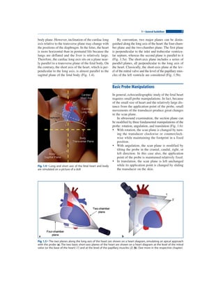 Echocardiographic anatomy in the fetus 2009 pg | PDF