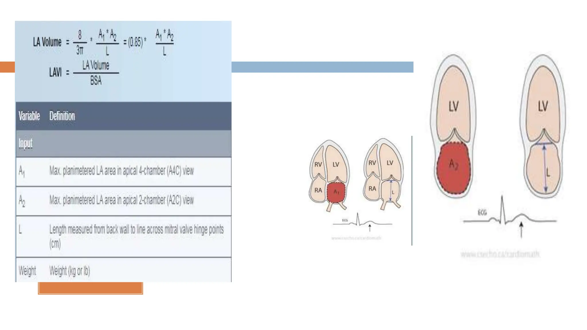 ECHOCARDIOGRAPHIC ASSESMENT OF DIASTOLIC FUNCTION.pptx