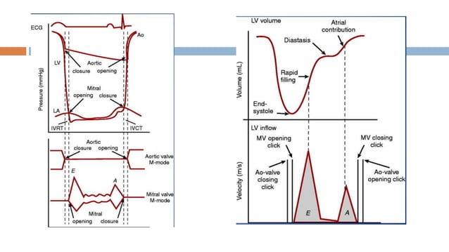 ECHOCARDIOGRAPHIC ASSESMENT OF DIASTOLIC FUNCTION.pptx