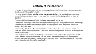 Echocardiographic assessment of tricuspid and pulmonary valves.pptx