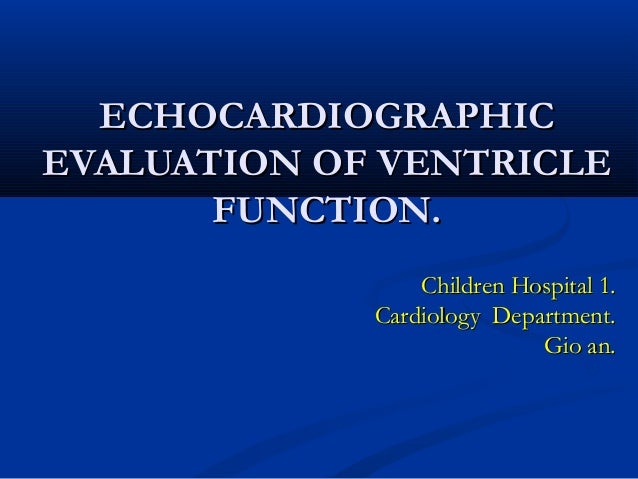 Lv Function Evaluation | semashow.com