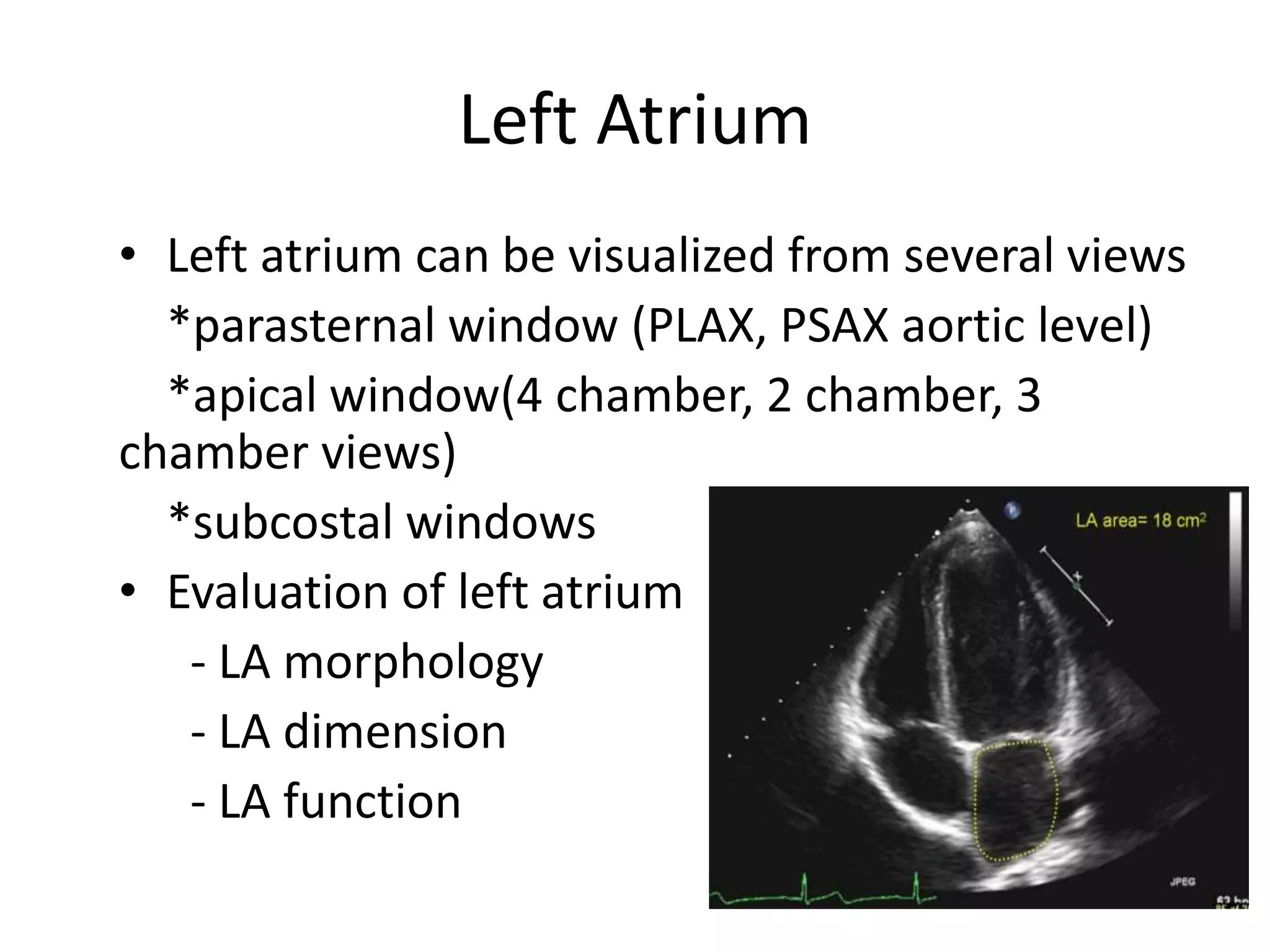Echocardiographic measurements | PPTX