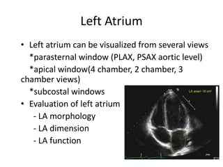 Echocardiographic measurements | PPTX