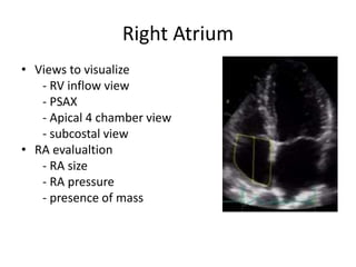 Echocardiographic measurements | PPTX