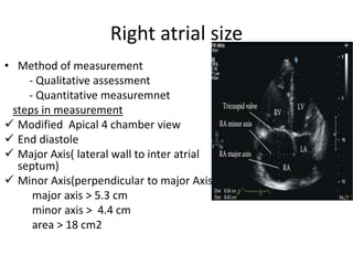 Echocardiographic measurements | PPTX