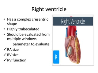 Echocardiographic measurements | PPTX