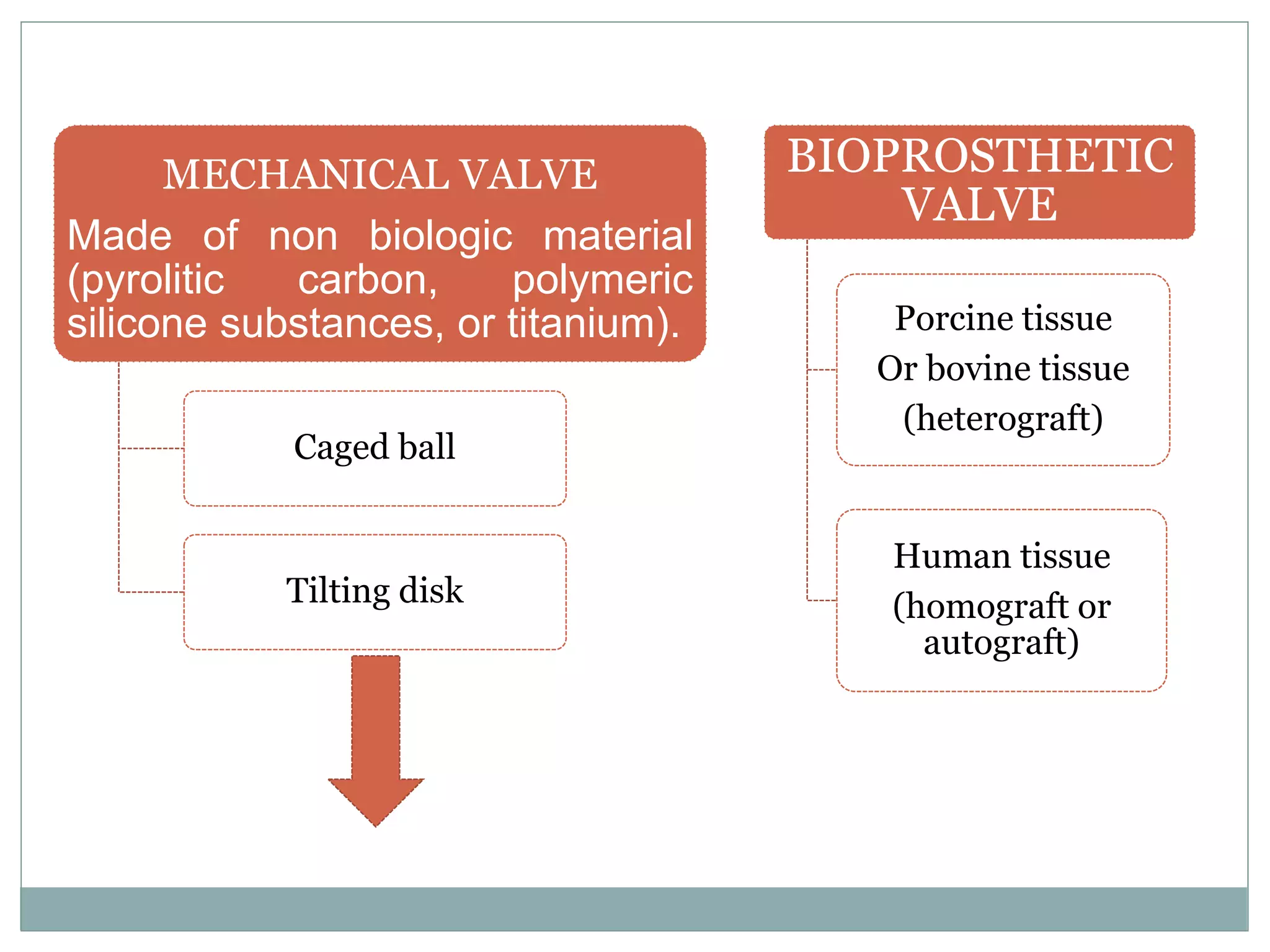 Echocardiographic recognition, function and dysfunction of prosthetic ...