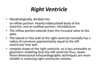 Echocardiography | PPTX