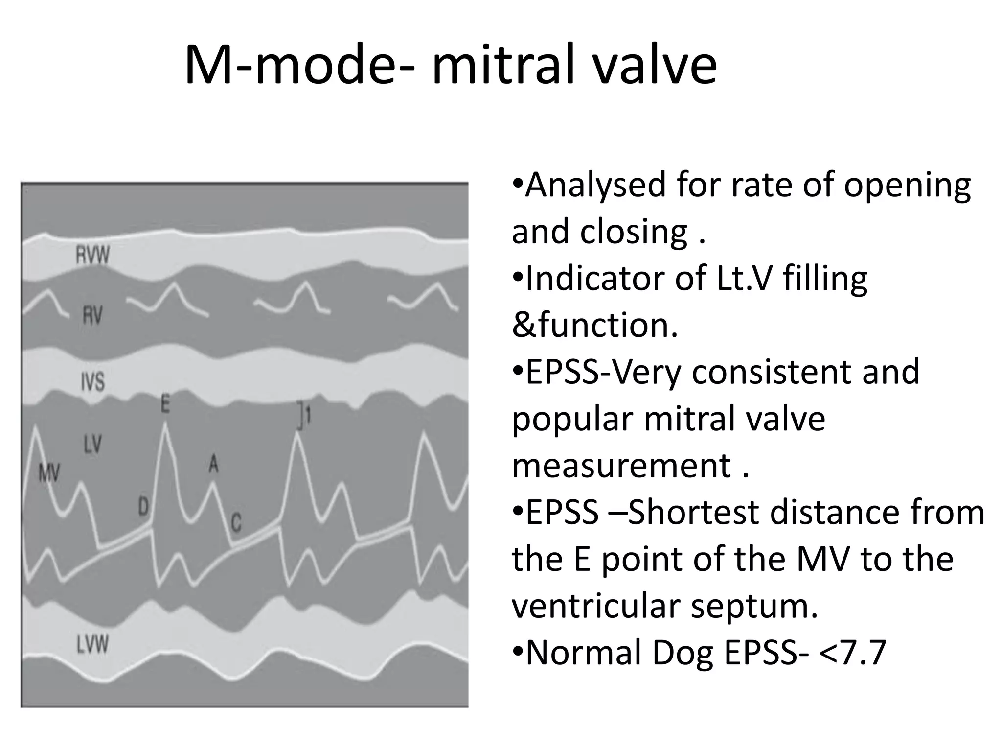 Canine Echocardiography -Dr Venkatesh S M.pptx