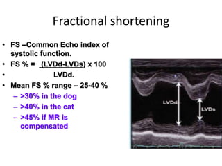 Canine Echocardiography -Dr Venkatesh S M.pptx